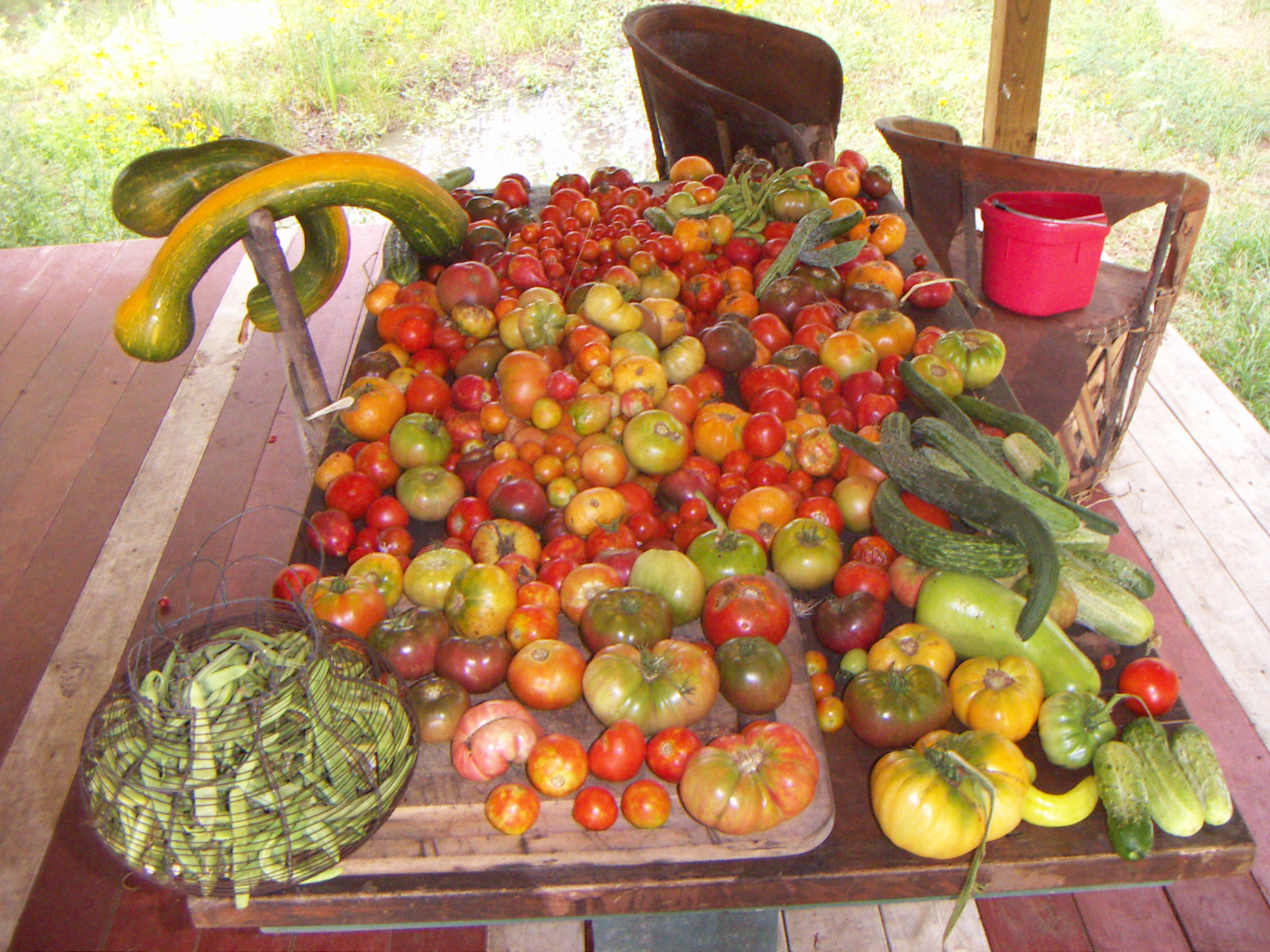 Laughing Frog Farm – Organic principles, permaculture methods